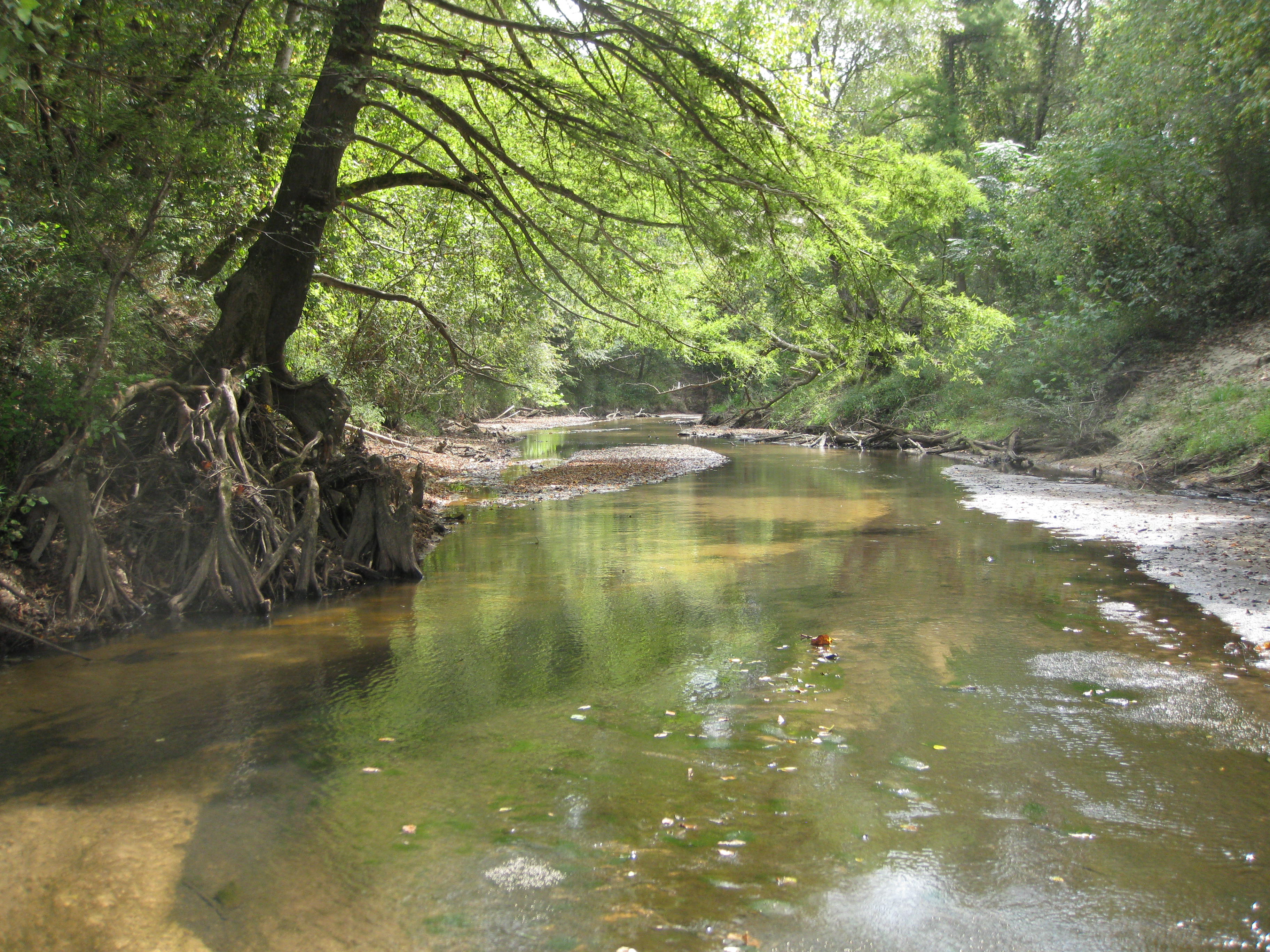 Scenic Streams Program | Mississippi Department of Wildlife, Fisheries ...