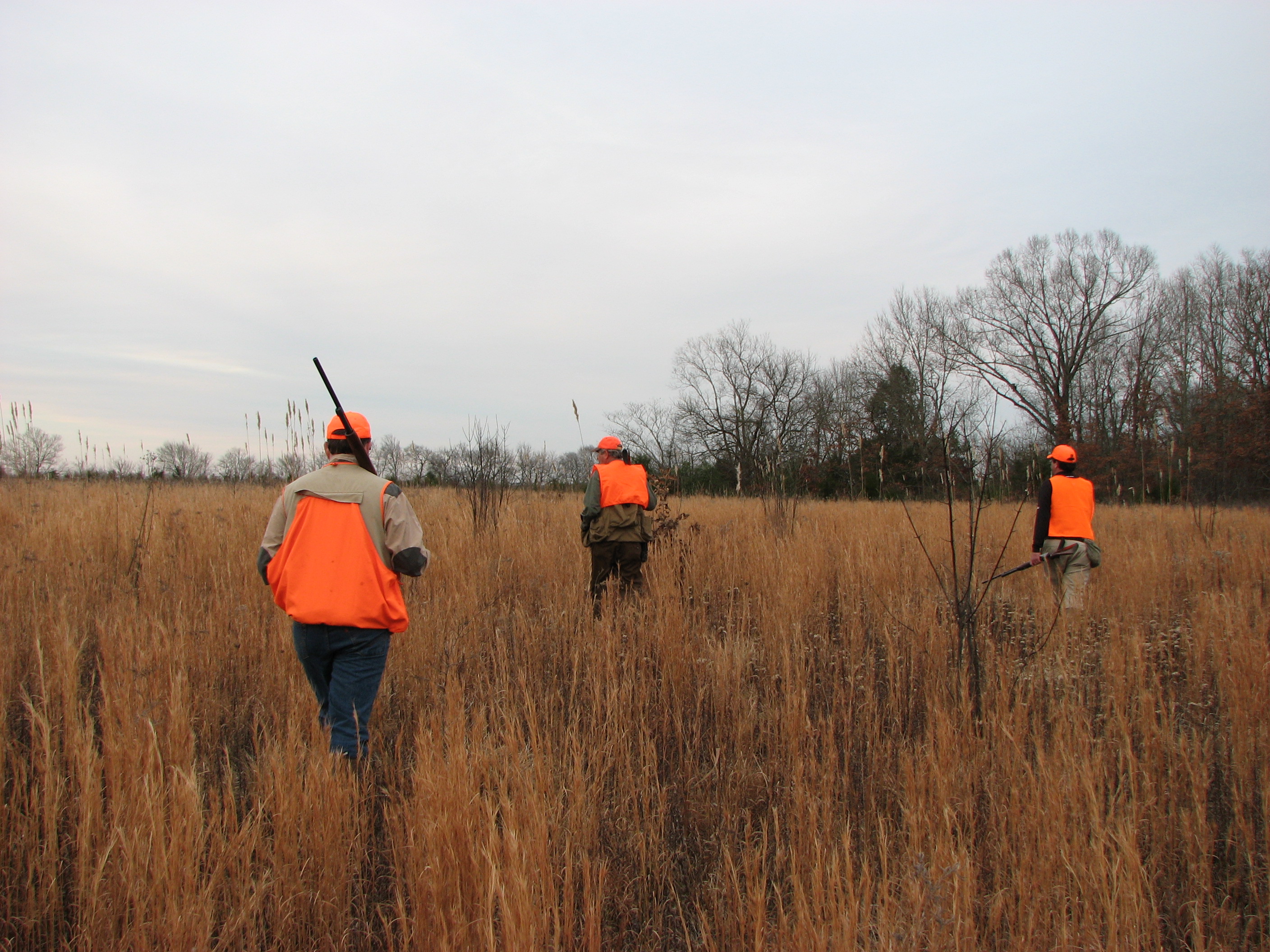 Quail Hunting Trends | Mississippi Department of Wildlife, Fisheries ...