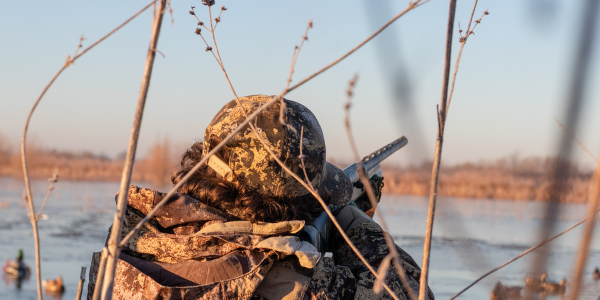 Migratory Bird Regulations | Mississippi Department of Wildlife ...