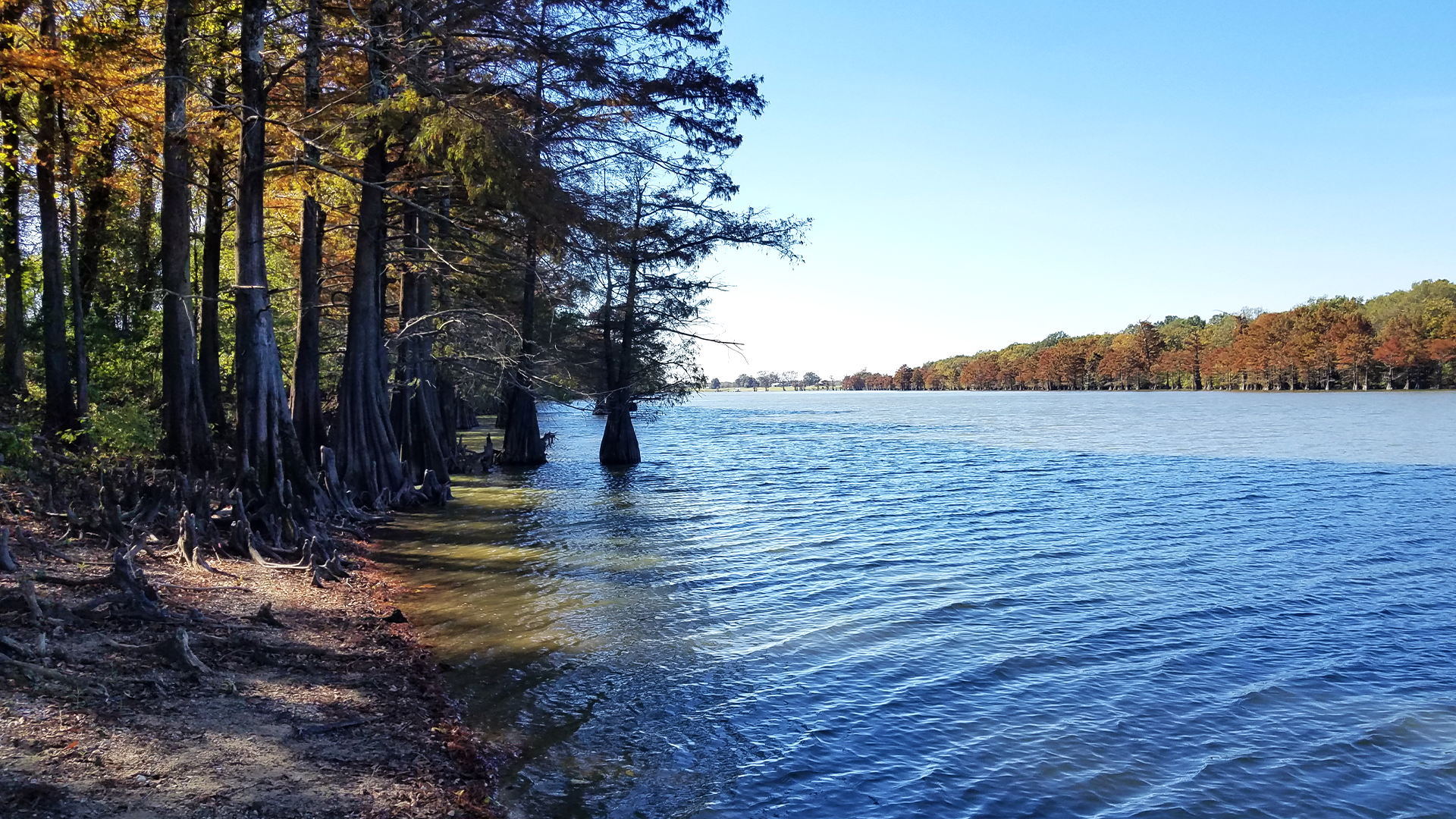 *Wolf Lake | Mississippi Department of Wildlife, Fisheries, and Parks